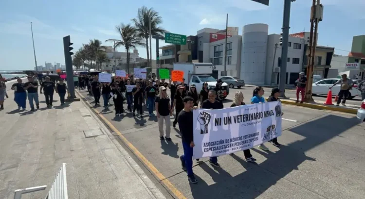 Marchan veterinarios en Veracruz; exigen justicia por Héctor Hernández ...